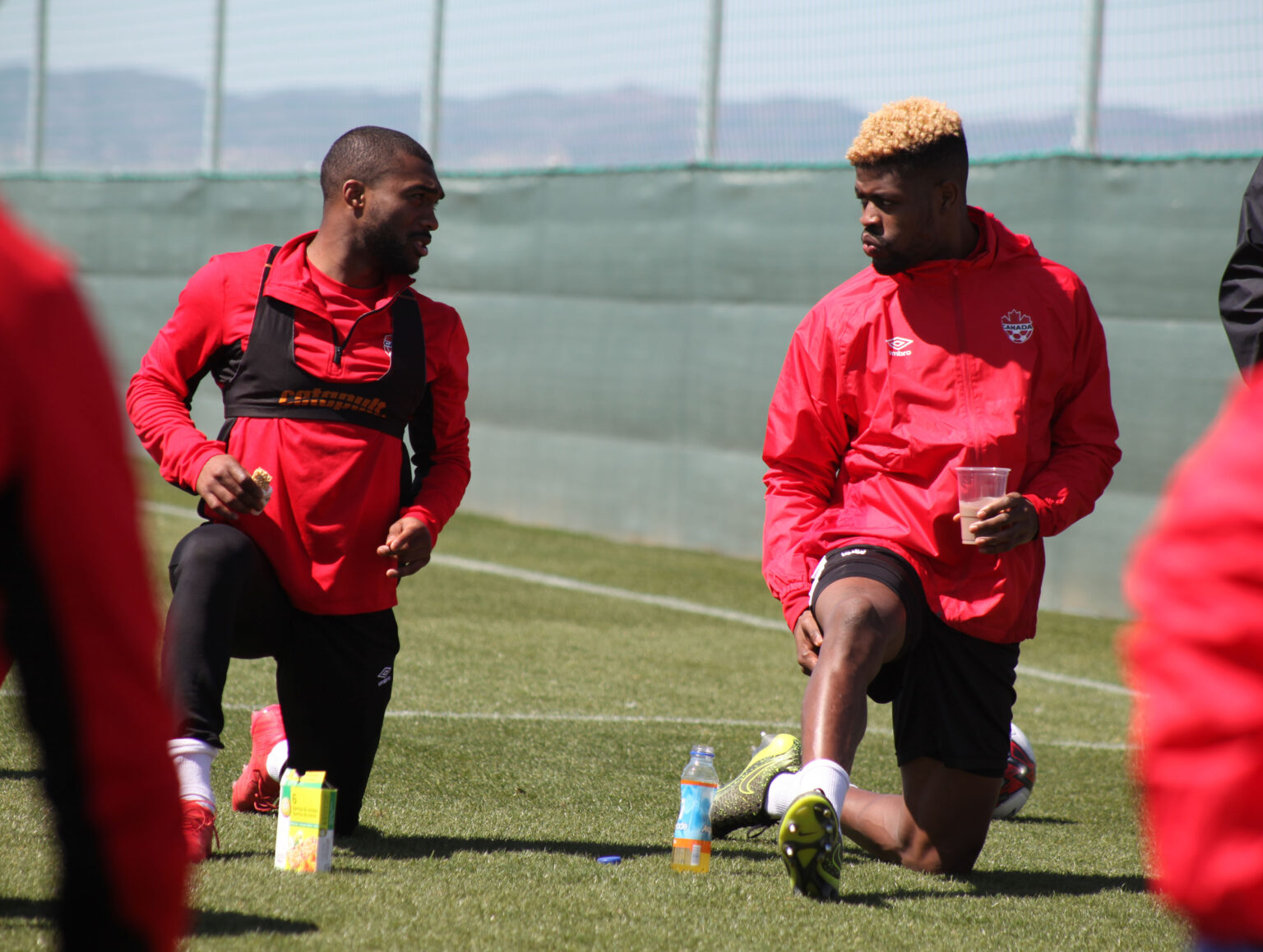 Forge FC sign Canadian international defender Manjrekar James ...